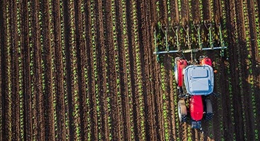 Chevron 1000 THF - Aceite hidráulico | Lubricantes Chevron (Latin America)
